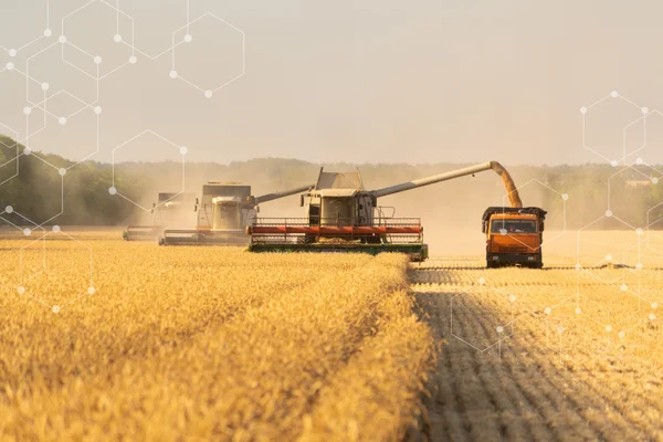 About the Platform - AgriChain | Farm Inventory & Supply Chain Management Softwar