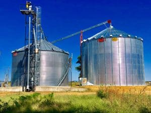 Grain Management System: Why Every Modern Farm Needs it in 2026