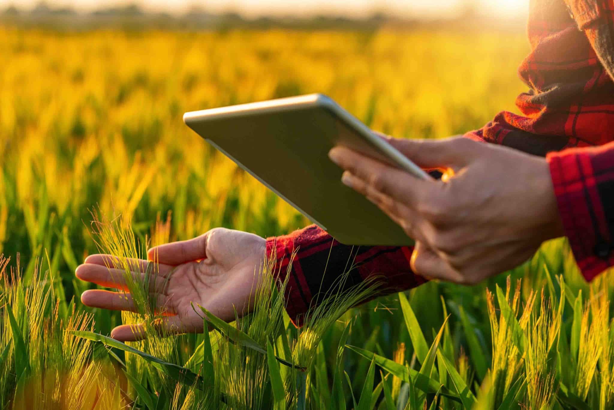 Best Crop Management Software: Benefits, Challenges, and Features
